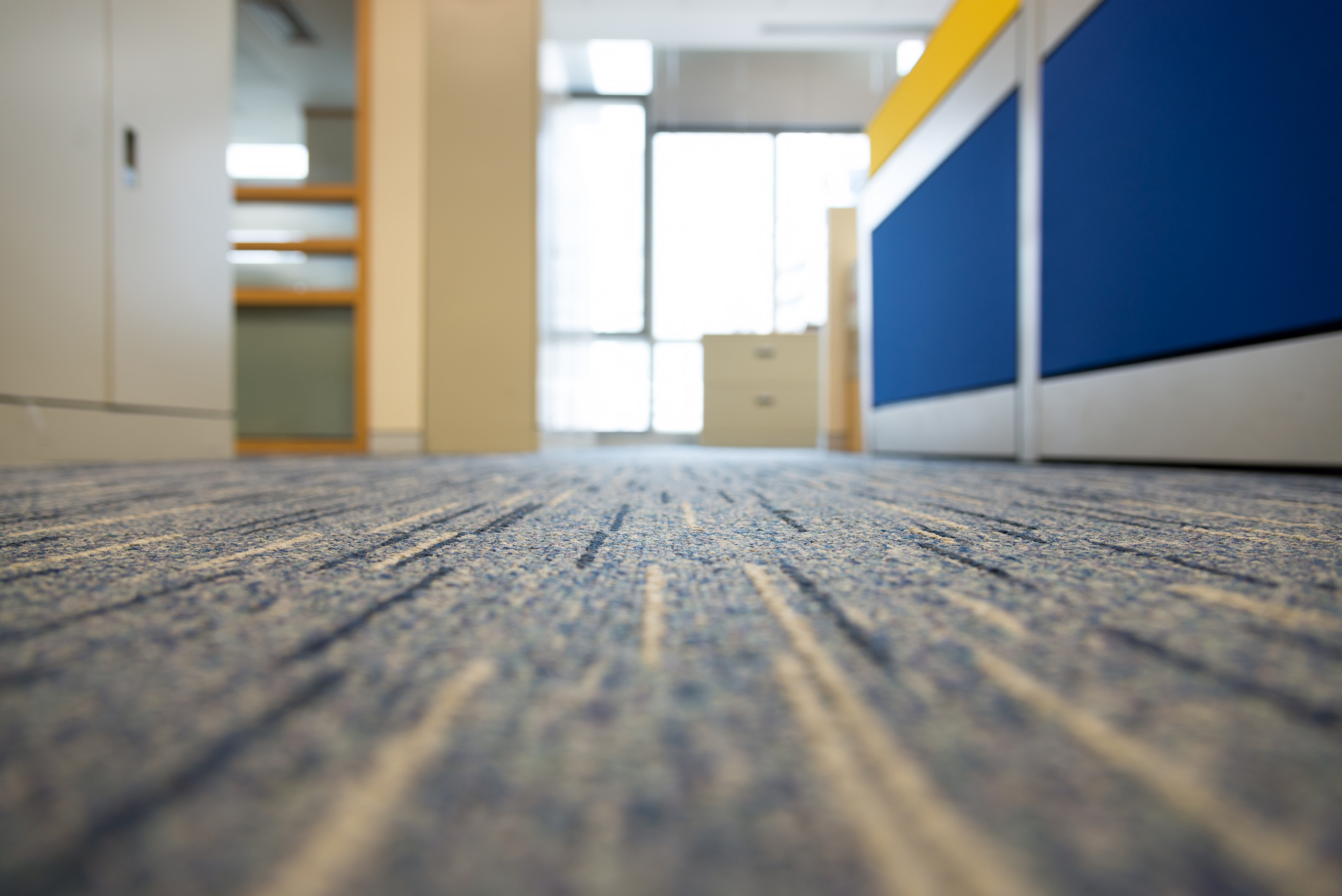 How To Maintain Office Carpets